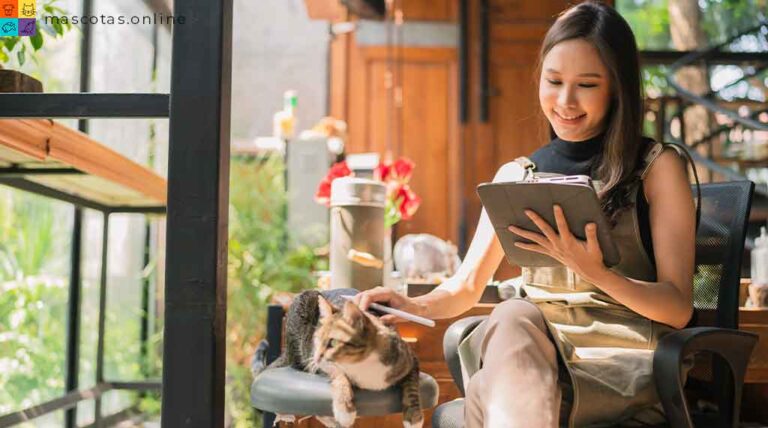 Pet Friendly, ¿qué significa y qué tan importante es?